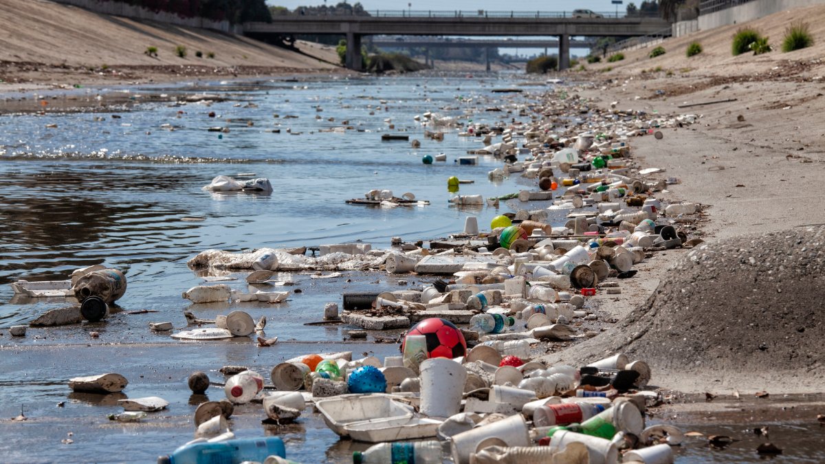 Cómo el plástico causa daño a los océanos – Telemundo 52