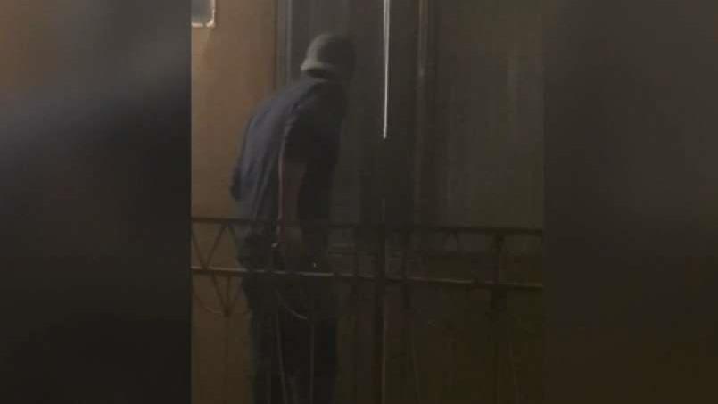 Hombre Masturba Mientras Mira Mujer Por Ventana Telemundo 52 