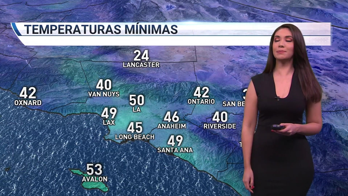 El tiempo con Michelle Trujillo – Telemundo 52