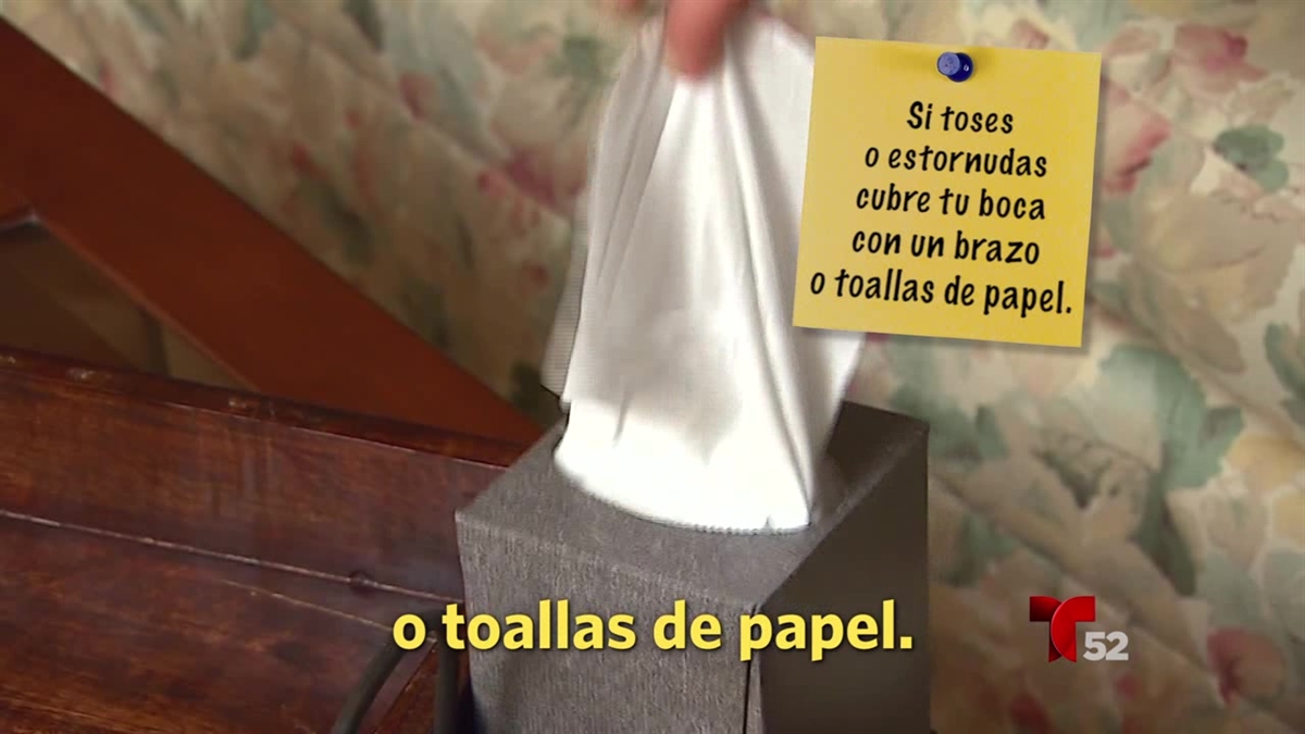 ¡Armida Mier te recuerda que estamos en esto juntos! – Telemundo 52