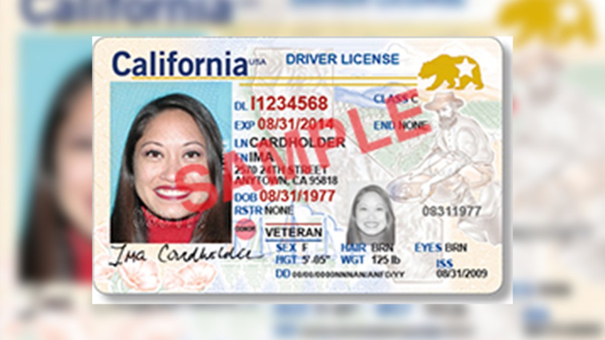 DMV agrega oficinas de Triple A para sacar el Real ID – Telemundo 52