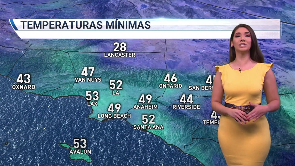 El tiempo con Michelle Trujillo – Telemundo 52