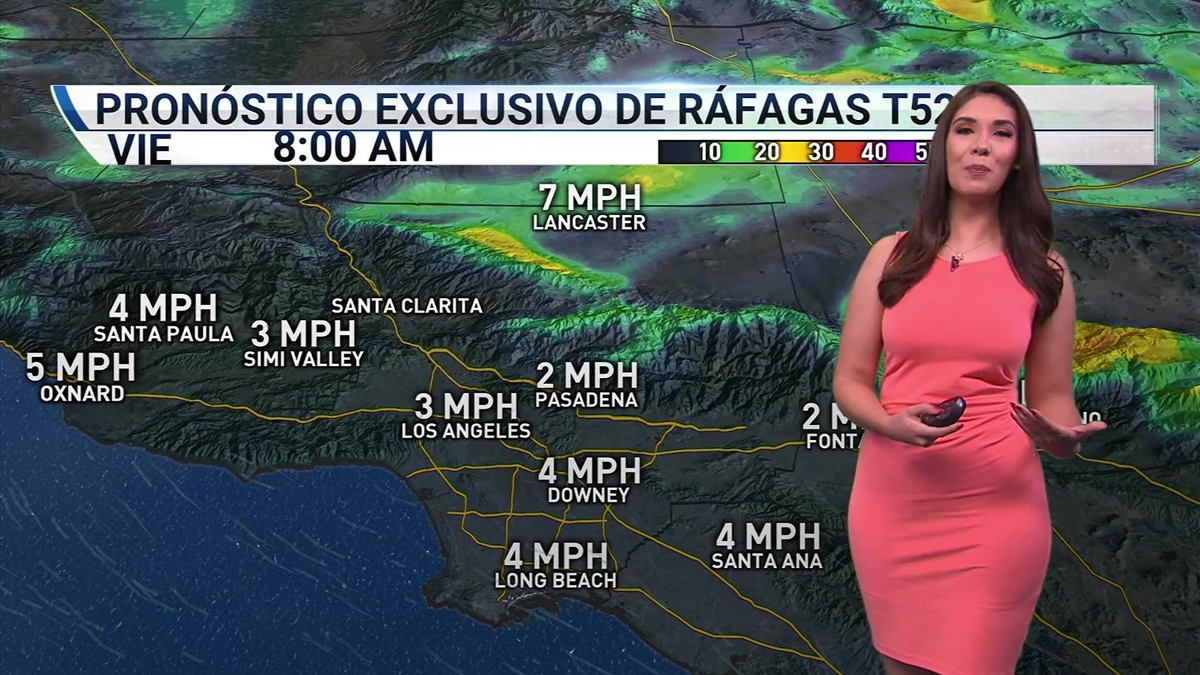 El tiempo con Michelle Trujillo – Telemundo 52