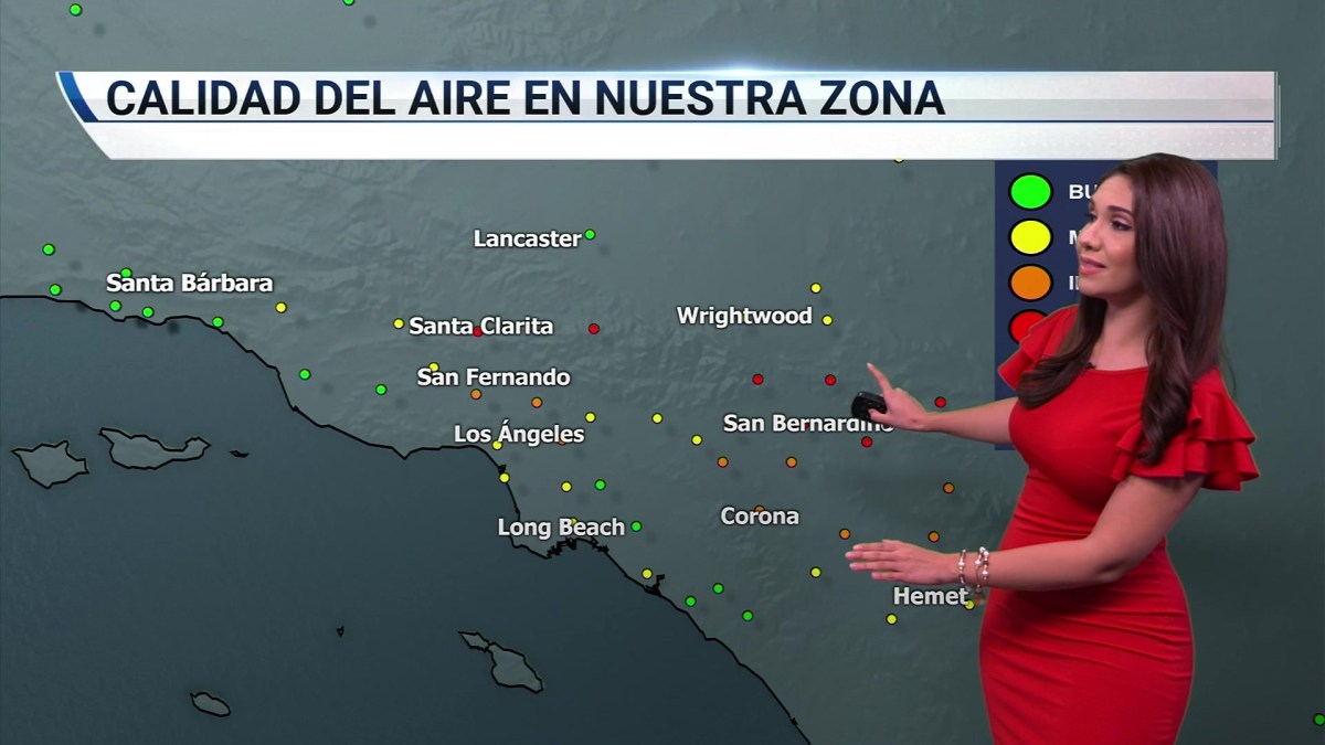 El tiempo con Michelle Trujillo – Telemundo 52