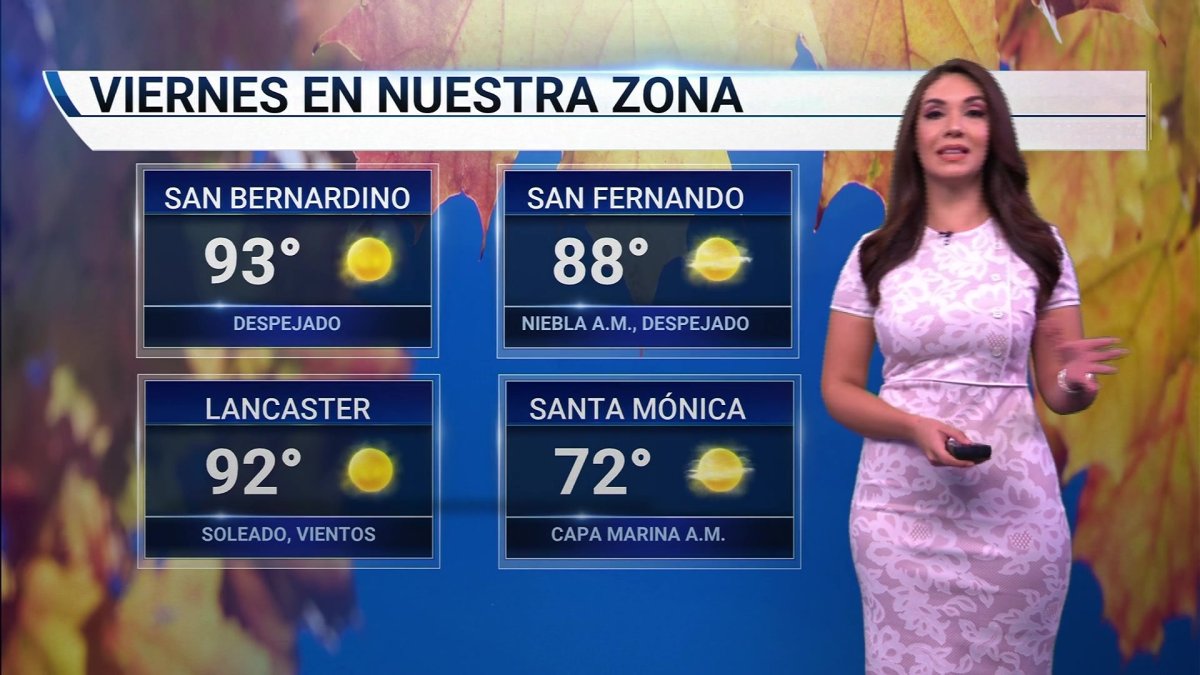 El tiempo con Michelle Trujillo – Telemundo 52