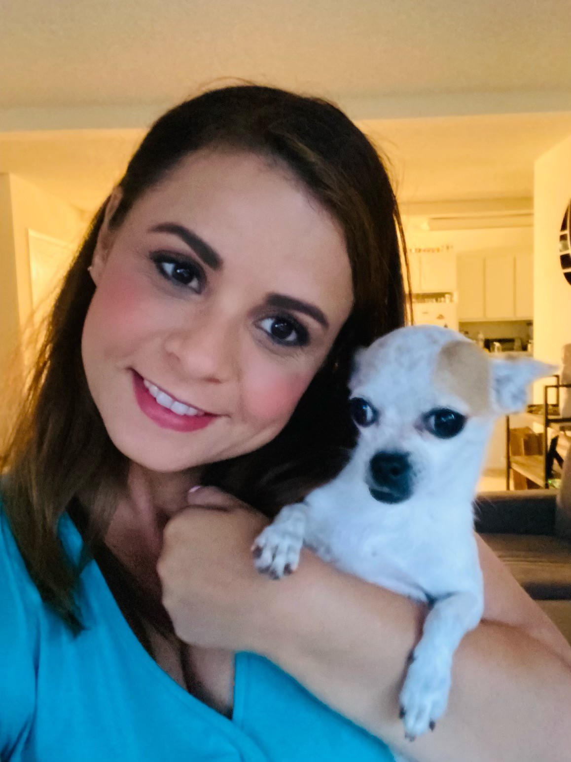 Talento de Telemundo 52 presenta a sus mascotas adoptadas – Telemundo 52