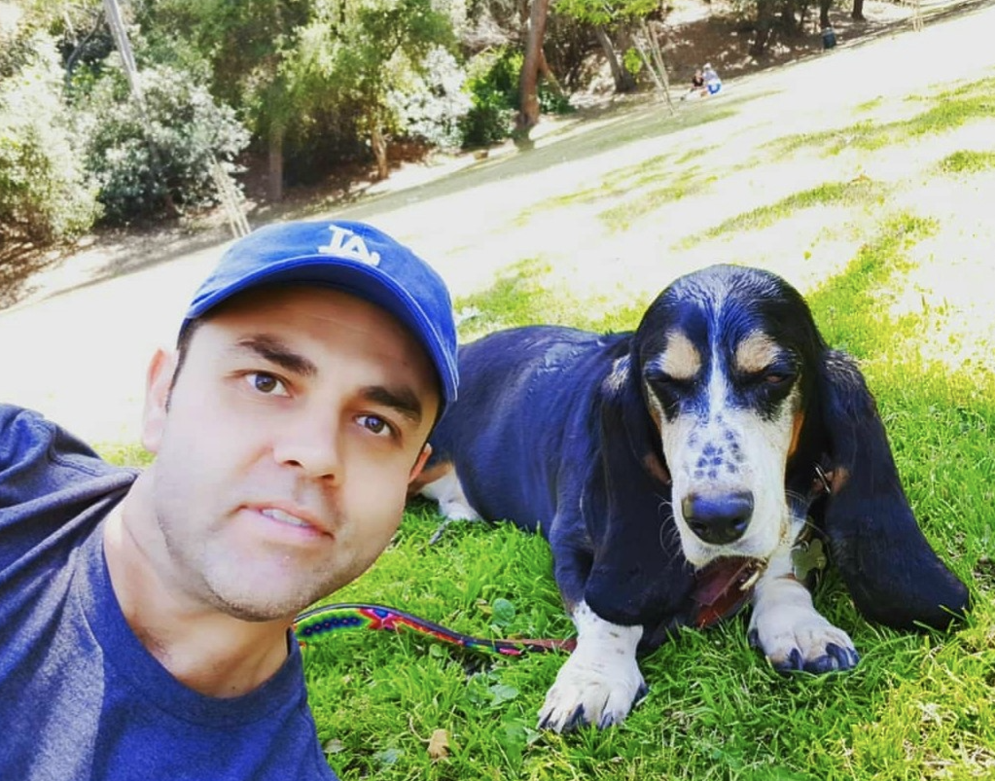 Talento de Telemundo 52 presenta a sus mascotas adoptadas – Telemundo 52