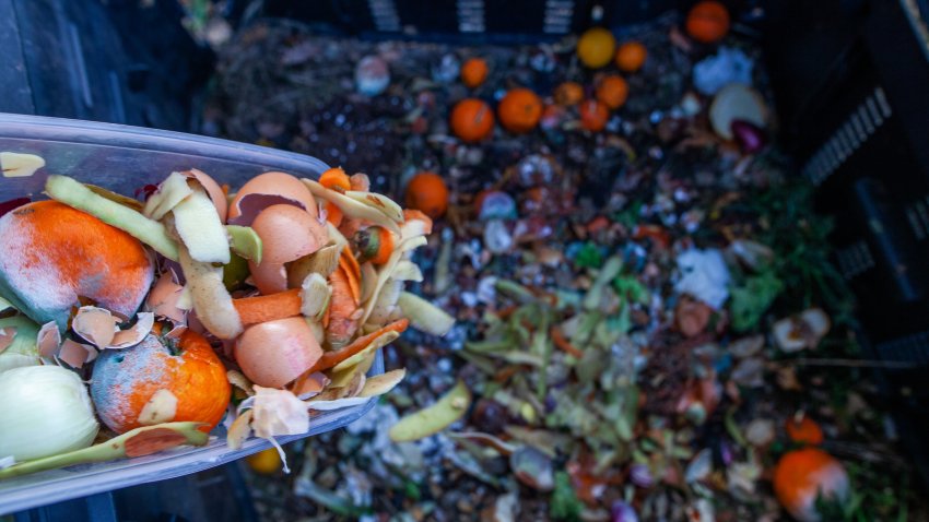 Alimentos descompuestos en California serán reciclados por mandato ...