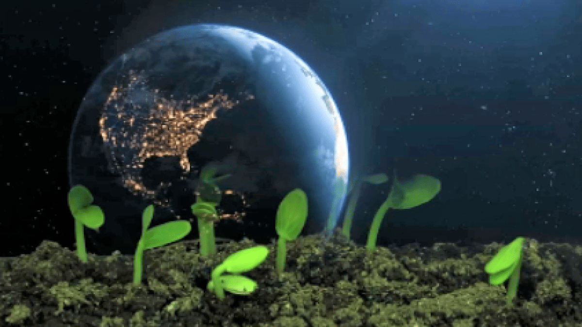 Celebra el Día de la Tierra en el Museo de Historia Natural de Los ...