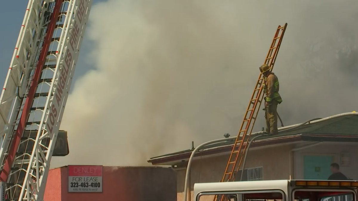Hollywood: incendio en teatro vacío – Telemundo 52