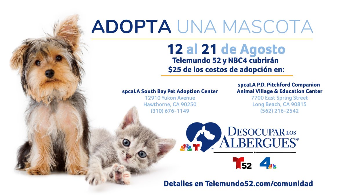 Telemundo 52 y NBC4 ayudan a pagar el costo de adopción en spcaLA en ...