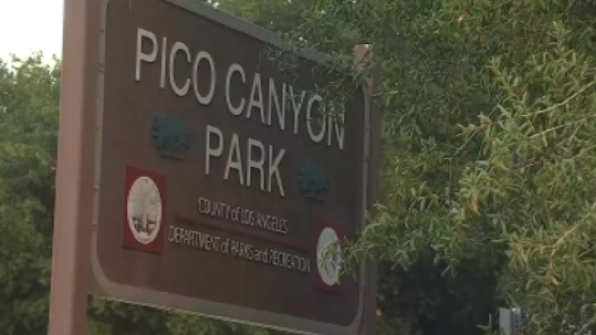 Los Ángeles: ataque de puma en Pico Canyon Park – Telemundo 52