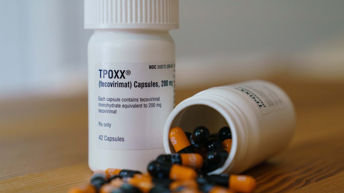 Estados Unidos: posible mutación de la viruela del mono podría resistir ...