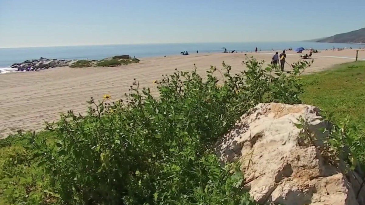 Buscan a hombre por intento de violación en Pacific Palisades ...