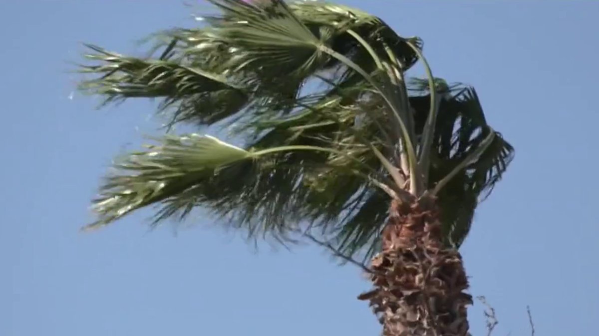 ¿Cuando regresan los vientos de Santa Ana a Los Ángeles? – Telemundo 52