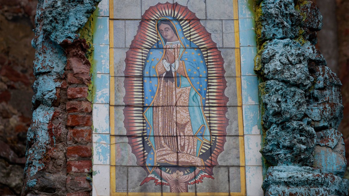 Los milagros más importantes de la Virgen de Guadalupe – Telemundo 52