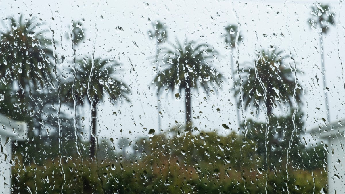 ¿Cuanta lluvia ha caido hasta ahora con las tormentas de invierno ...