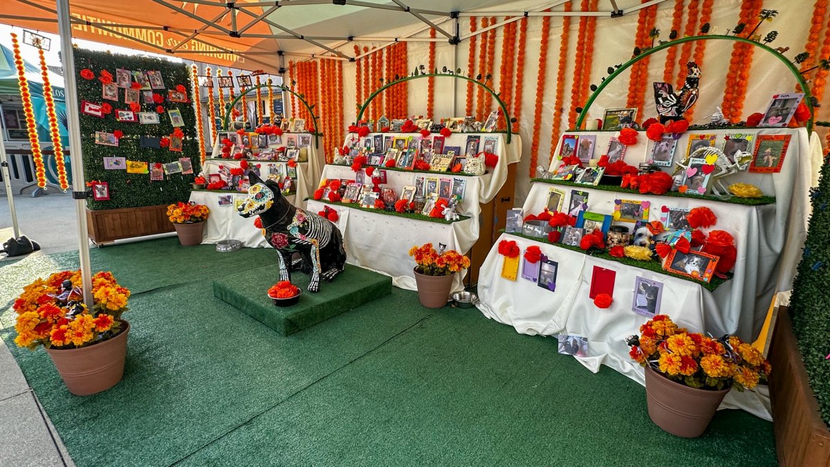Altar de muertos para mascotas en el zoológico de Los Ángeles ...