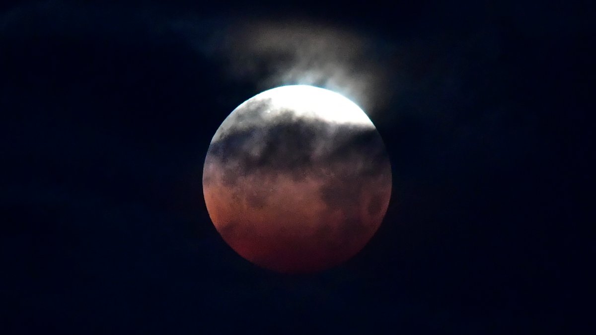 El Observatorio Griffith transmitirá en vivo el eclipse de la ‘Luna de ...