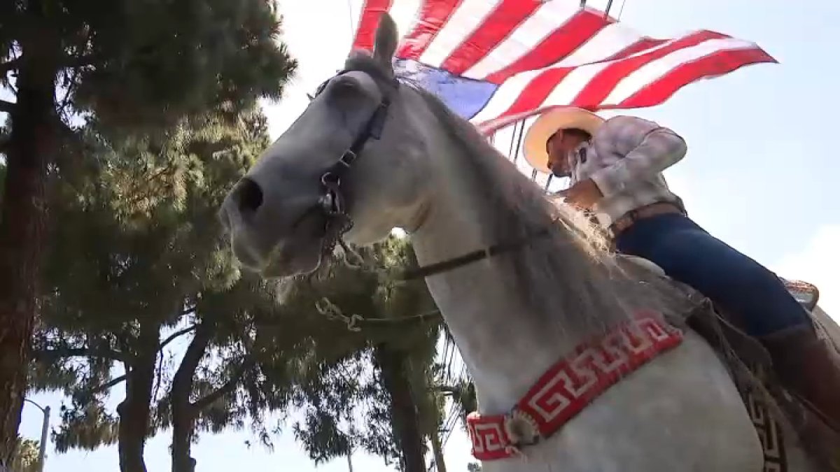 Compton Cowboys marchan a favor de los inmigrantes – Telemundo 52