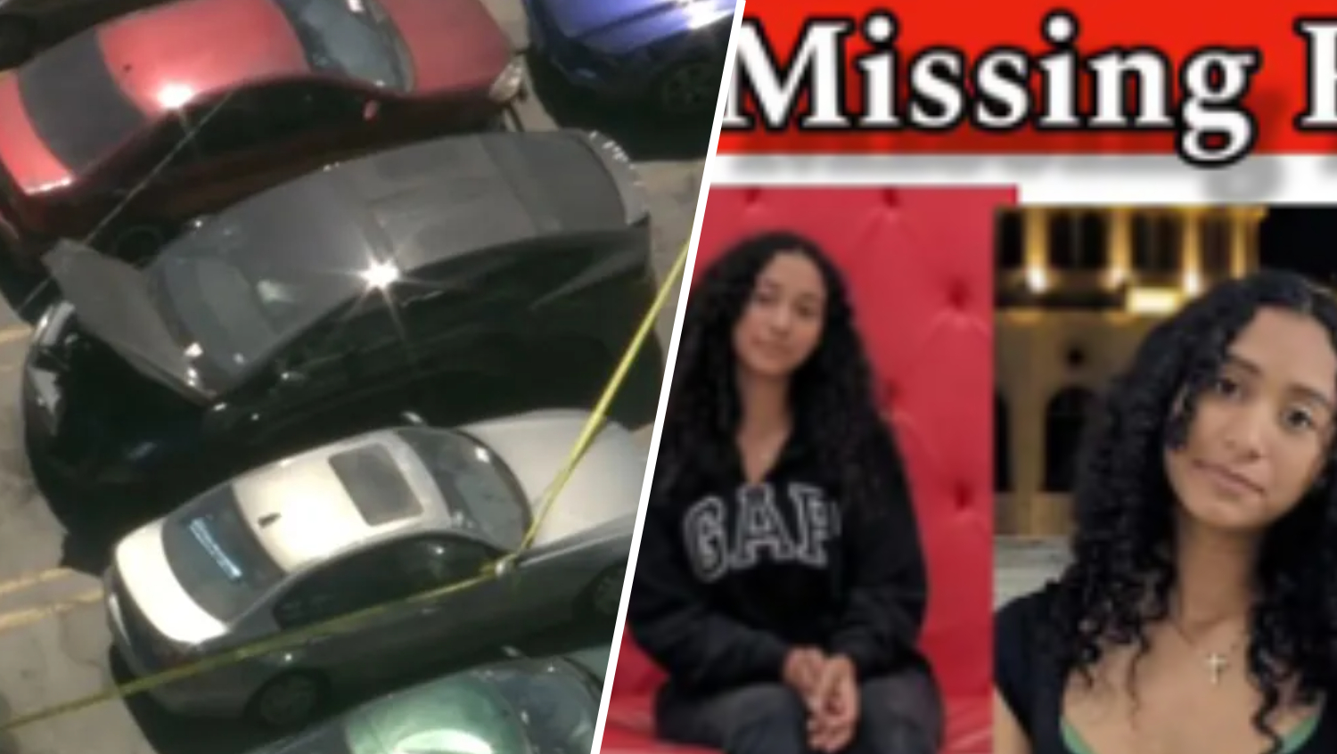 Cuerpo dentro de Tesla era una niña desaparecida de Lake Elsinore ...
