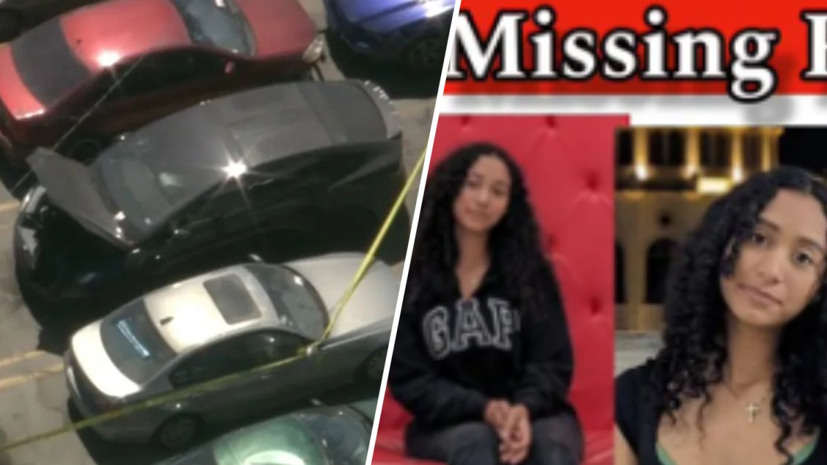 Cuerpo dentro de Tesla era una niña desaparecida de Lake Elsinore ...