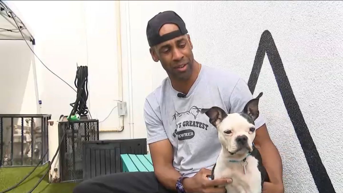 Perro robado se reúne con su dueño tras años de separación – Telemundo 52